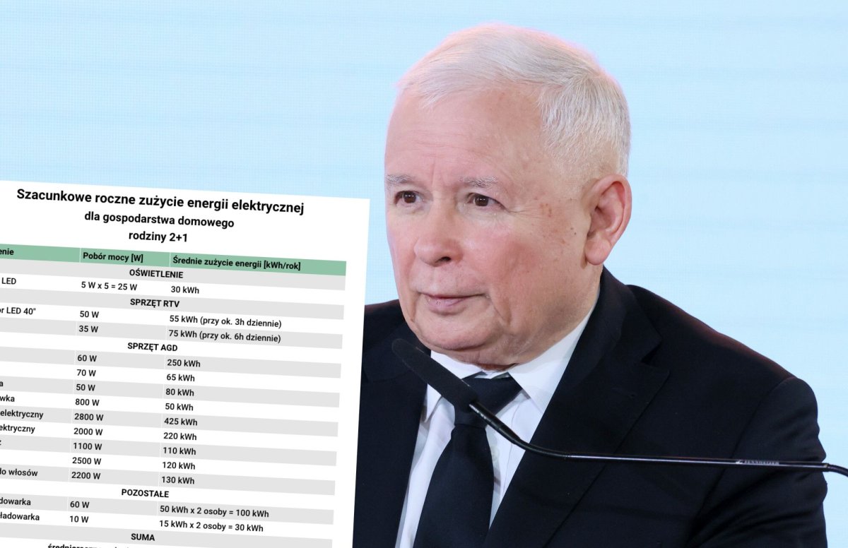 Ile To Jest 2000 KWh Kaczy ski Z Planem Zamro enia Taryf INNPoland pl