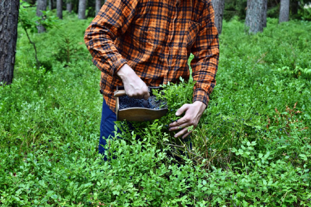 Pandemia wpłynęła na saksy. Spada liczba pracowników wysłanych za ...