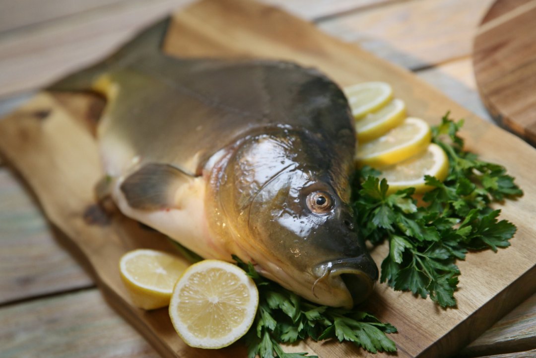 Ceny karpia. Ile będzie kosztował karp na święta Bożego Narodzenia ...